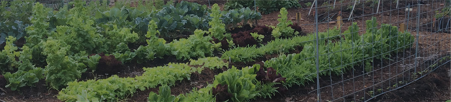 getInvolved | GROW-HUB