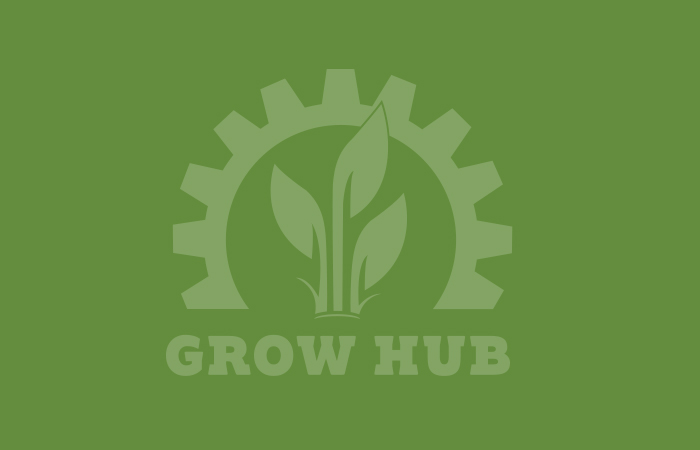 growHub-blogPost | GROW-HUB