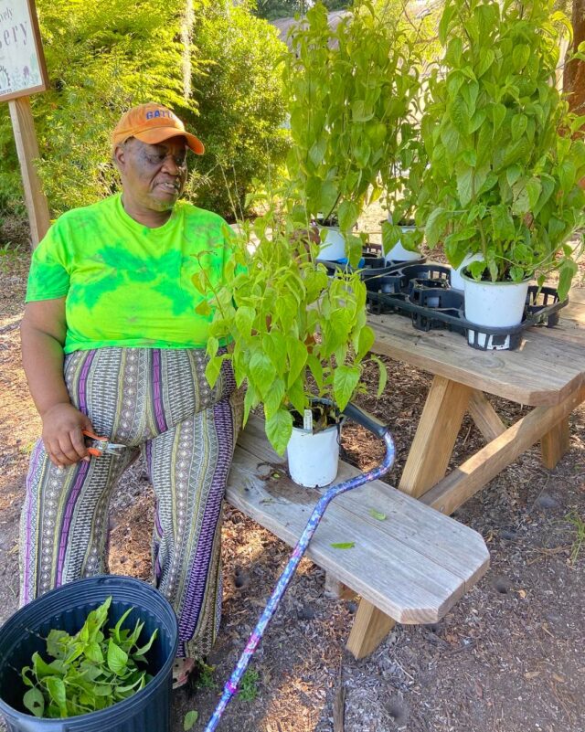 Native Plant Programs | GROW-HUB